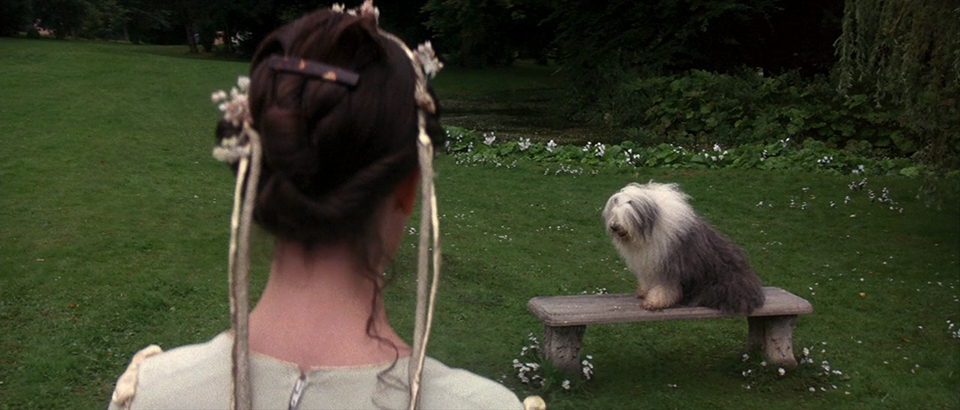 Picture of Labyrinth