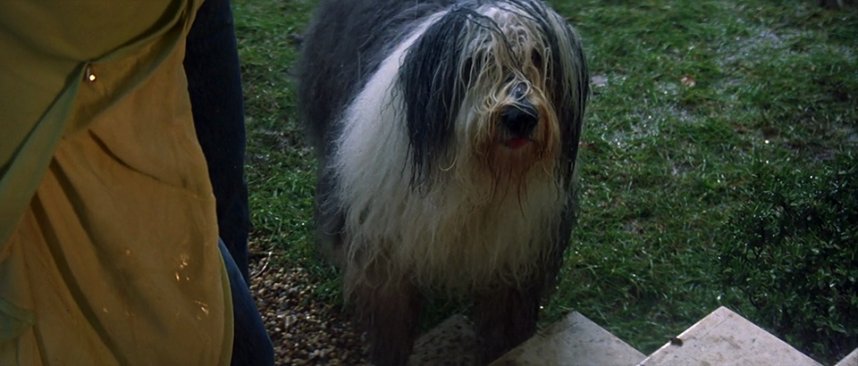 Image of Labyrinth (1986)