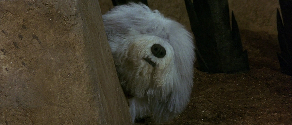 Image of Labyrinth (1986)