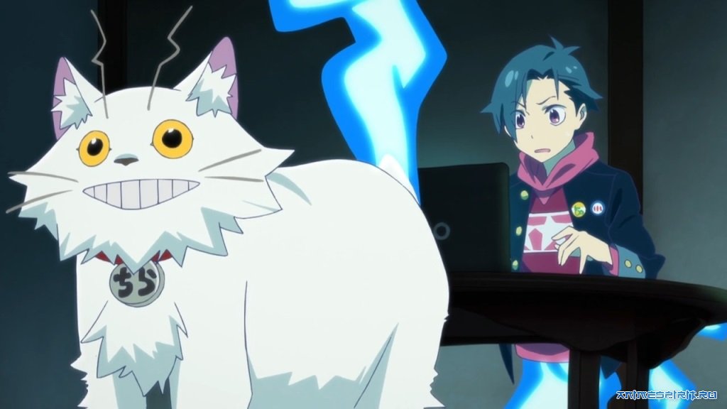 Picture of Punch Line