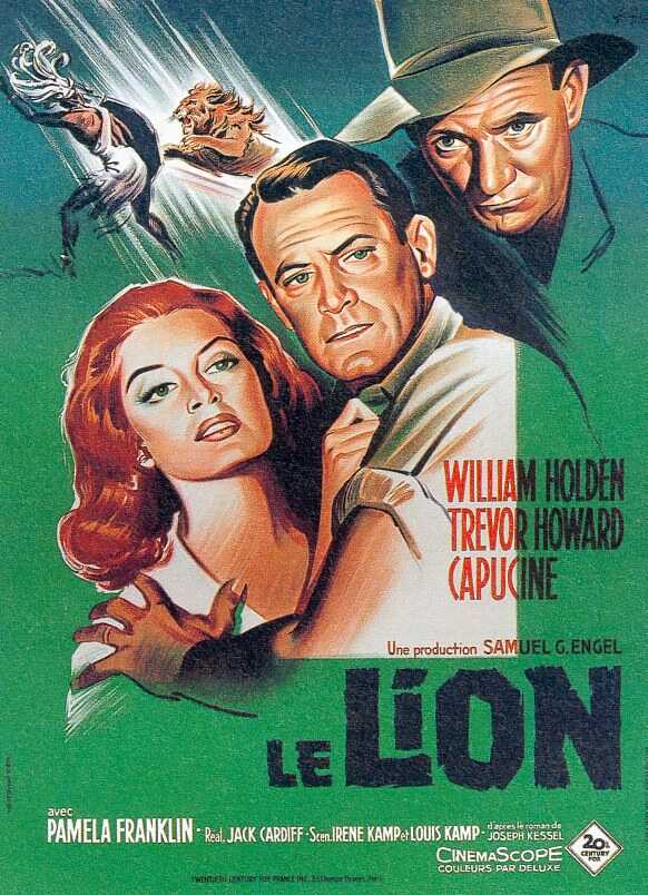 Picture of The Lion