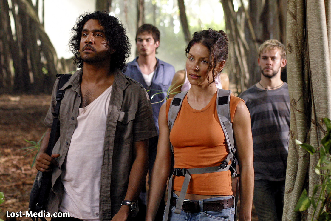 Picture of Lost