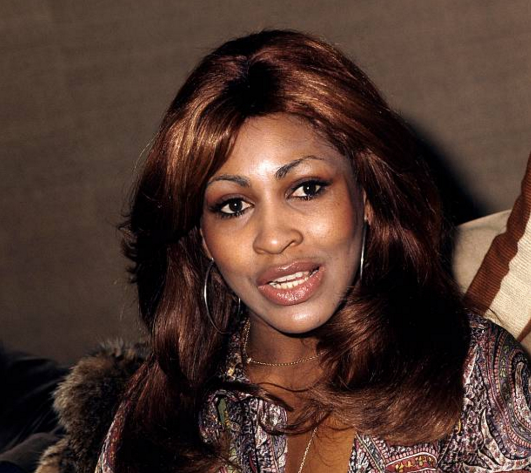 Tina Turner image
