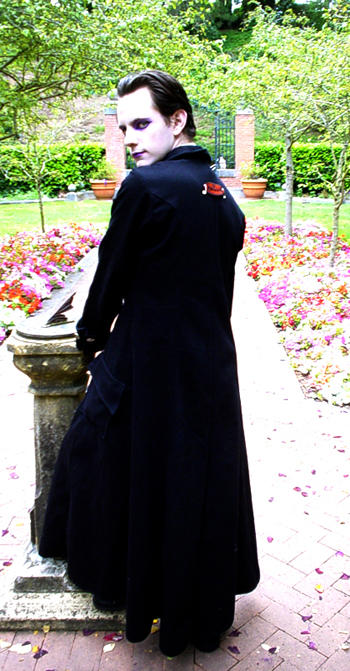 Image of Vernian Process