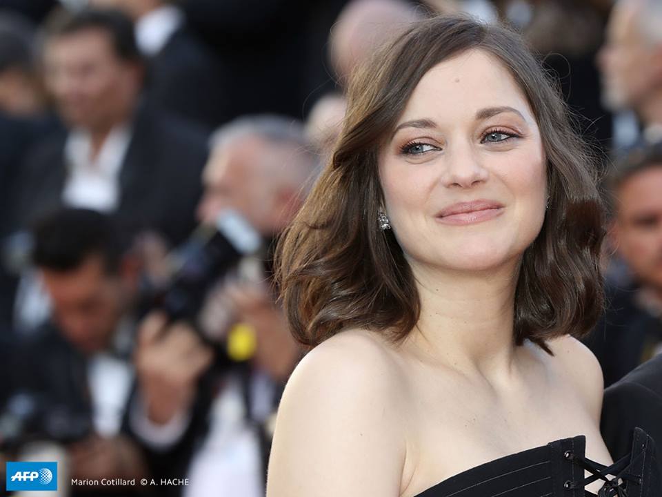 Picture of Marion Cotillard