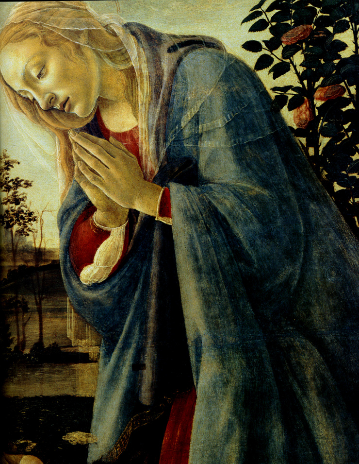 Picture of Sandro Botticelli