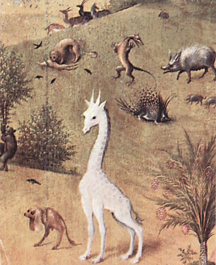 Picture of Hieronymus Bosch