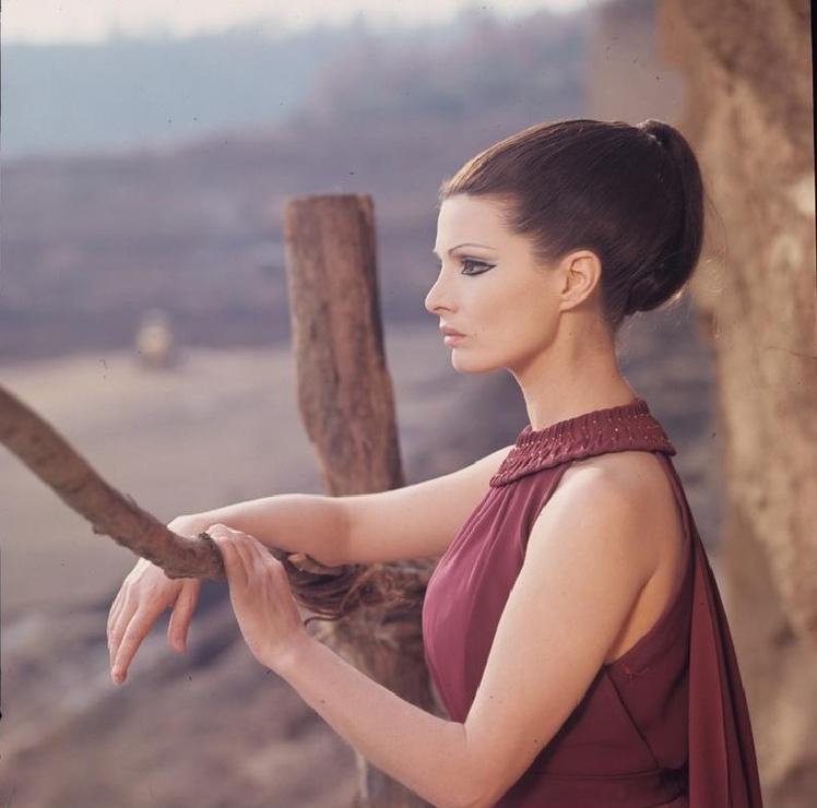 Picture of Scilla Gabel