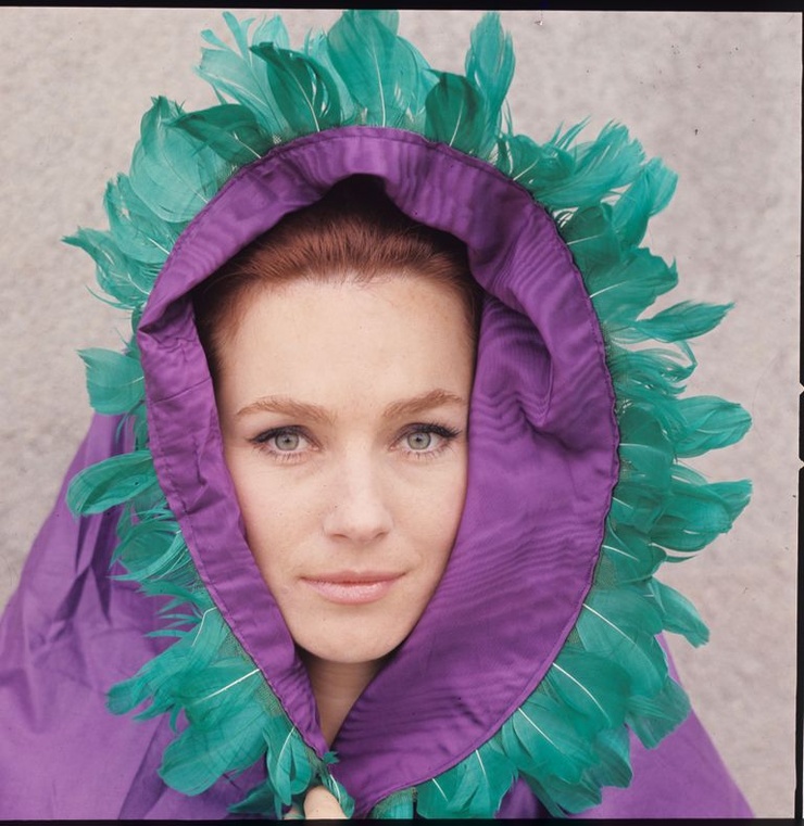 Picture of Shirley Anne Field