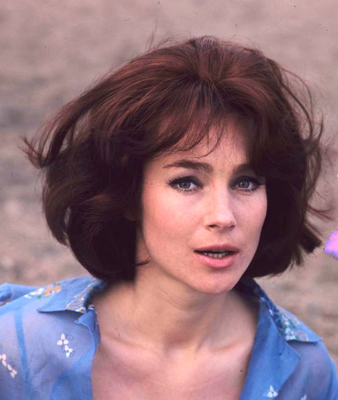 Picture of Shirley Anne Field