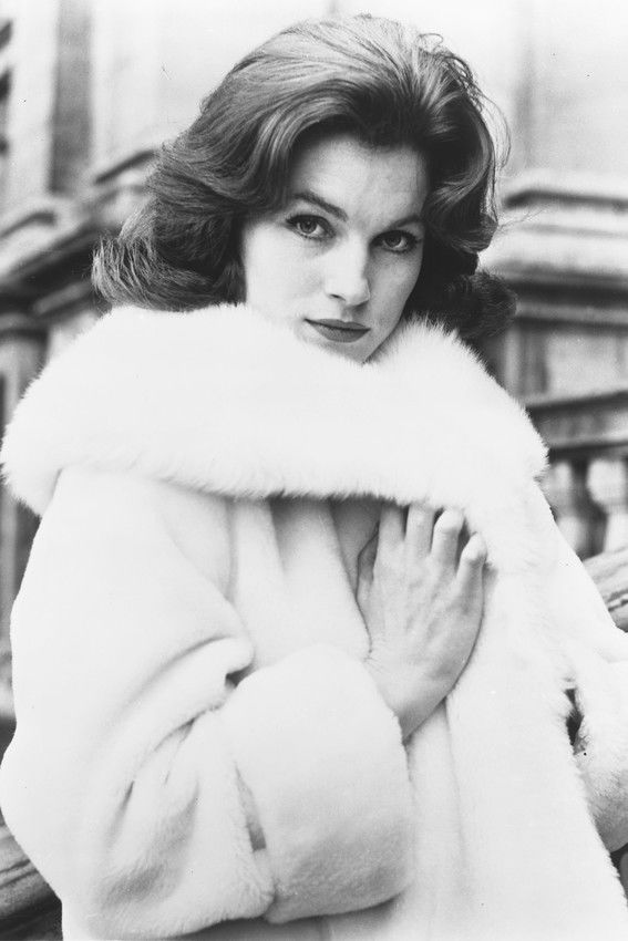 Picture of Shirley Anne Field