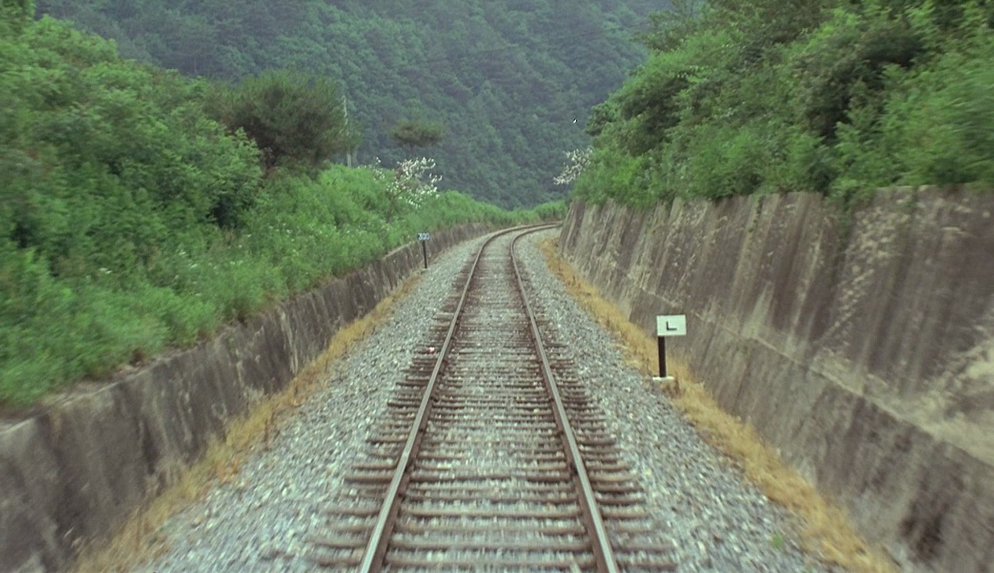 Picture of Peppermint Candy