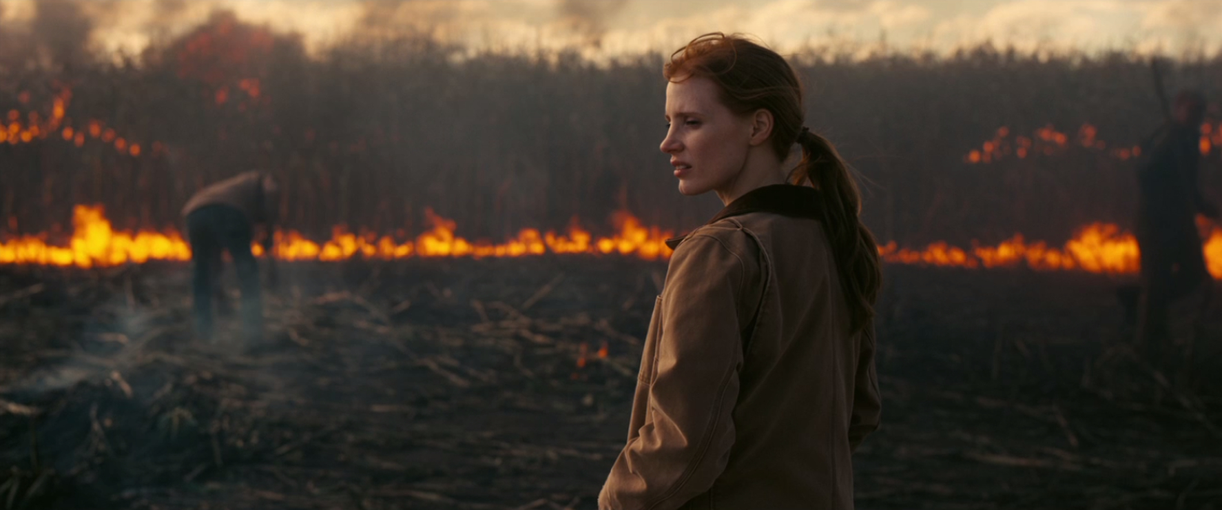 Picture of Interstellar