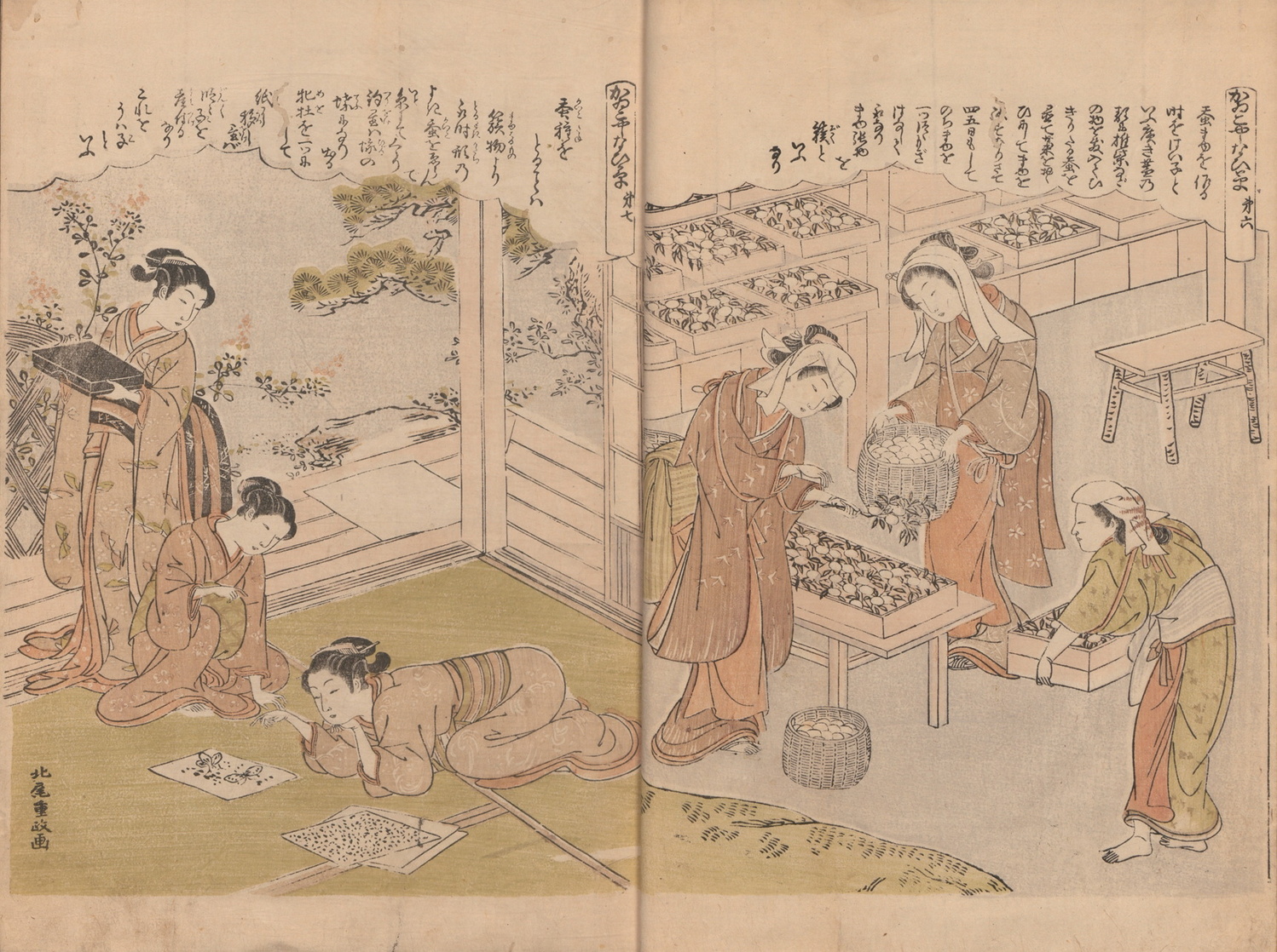 Picture of Kitao Shigemasa