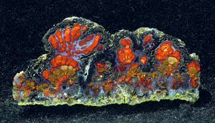 Picture of Mineral