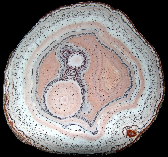 Image of Agate