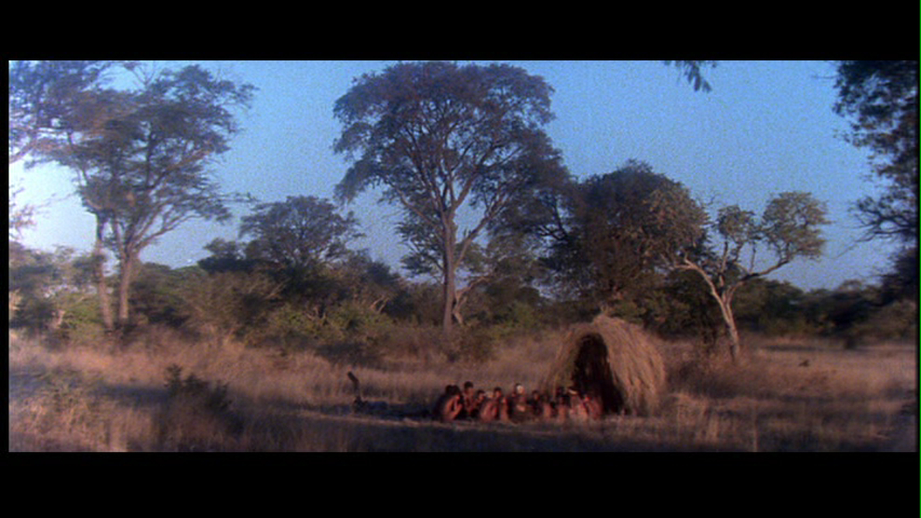 Picture of The Gods Must Be Crazy (1980)