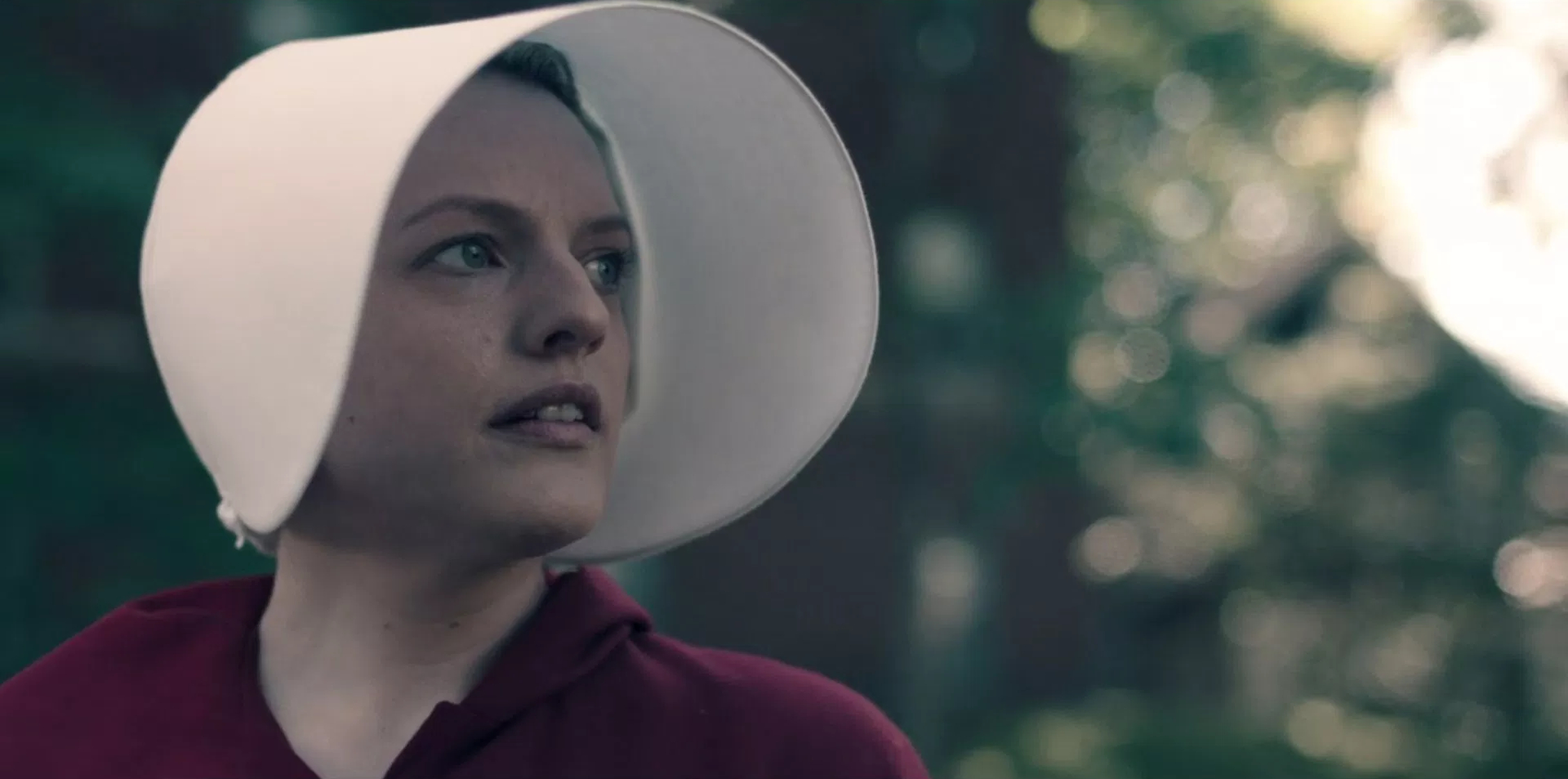 Picture of The Handmaid's Tale