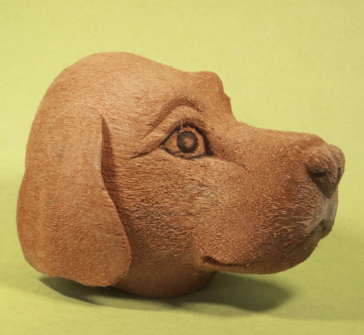 Coconut Dog