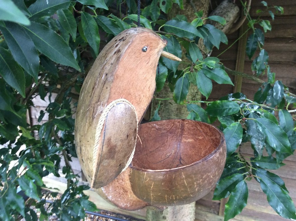 Coconut Bird