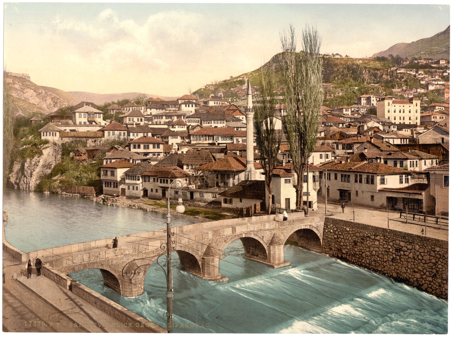 Picture of Austria-Hungary