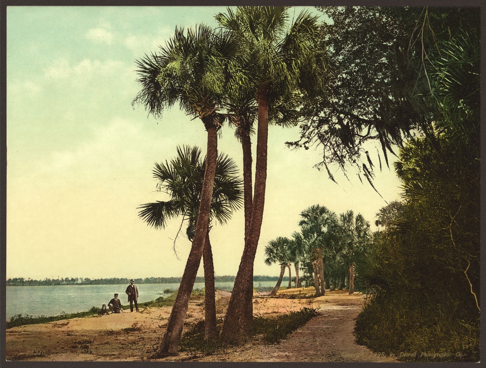 Picture of Florida