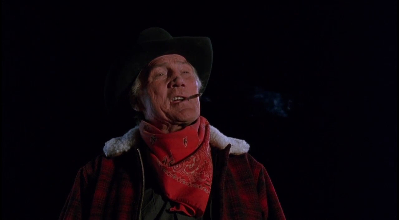 Picture of City Slickers