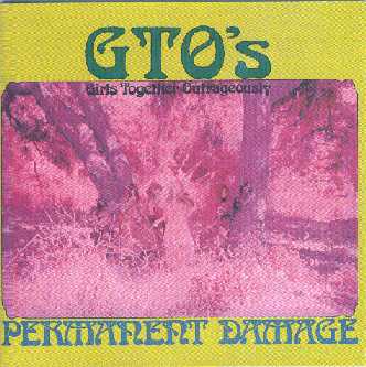 Picture of Permanent Damage