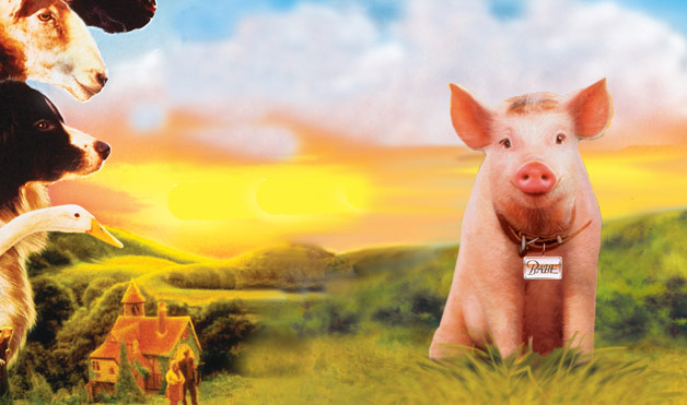 Picture of Babe: Pig in the City