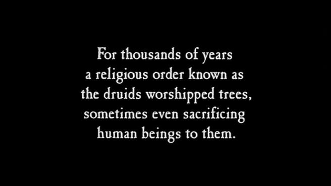 Picture of The Guardian