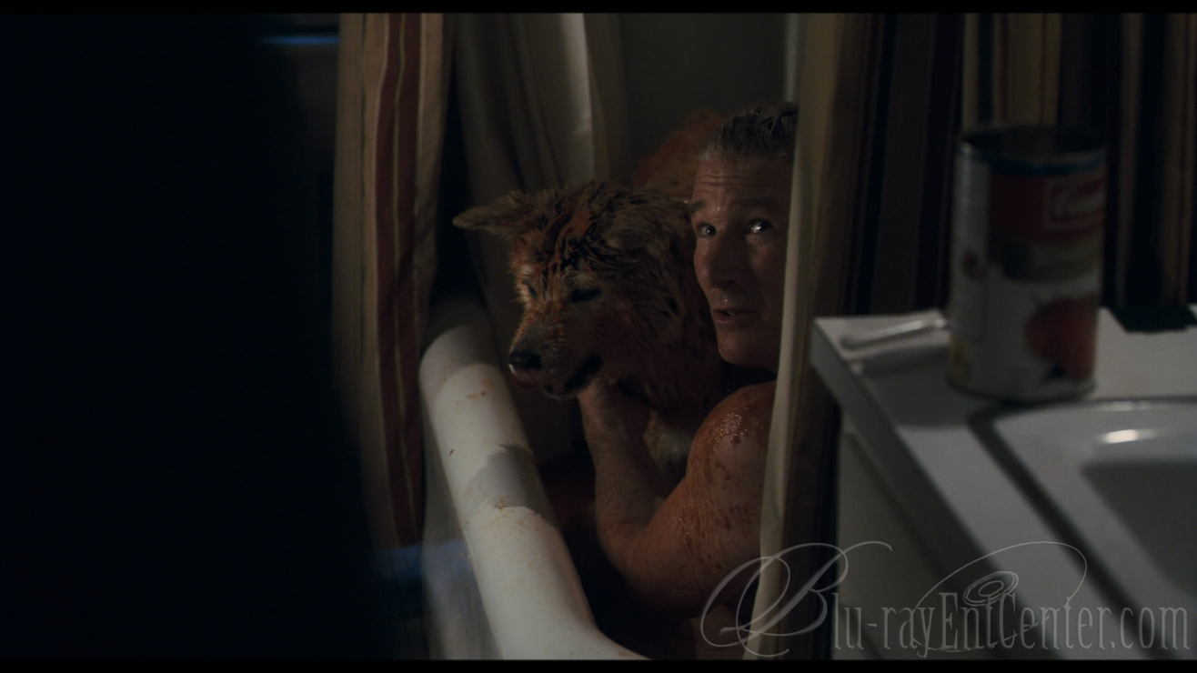 Picture of Hachi: A Dog's Tale