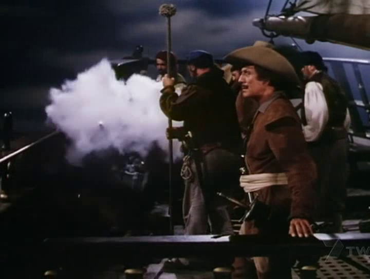 Picture of The Golden Hawk