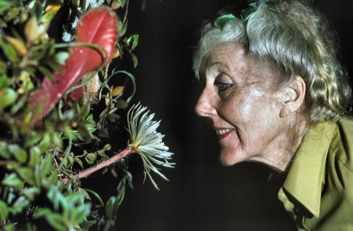 Picture of Margaret Mee