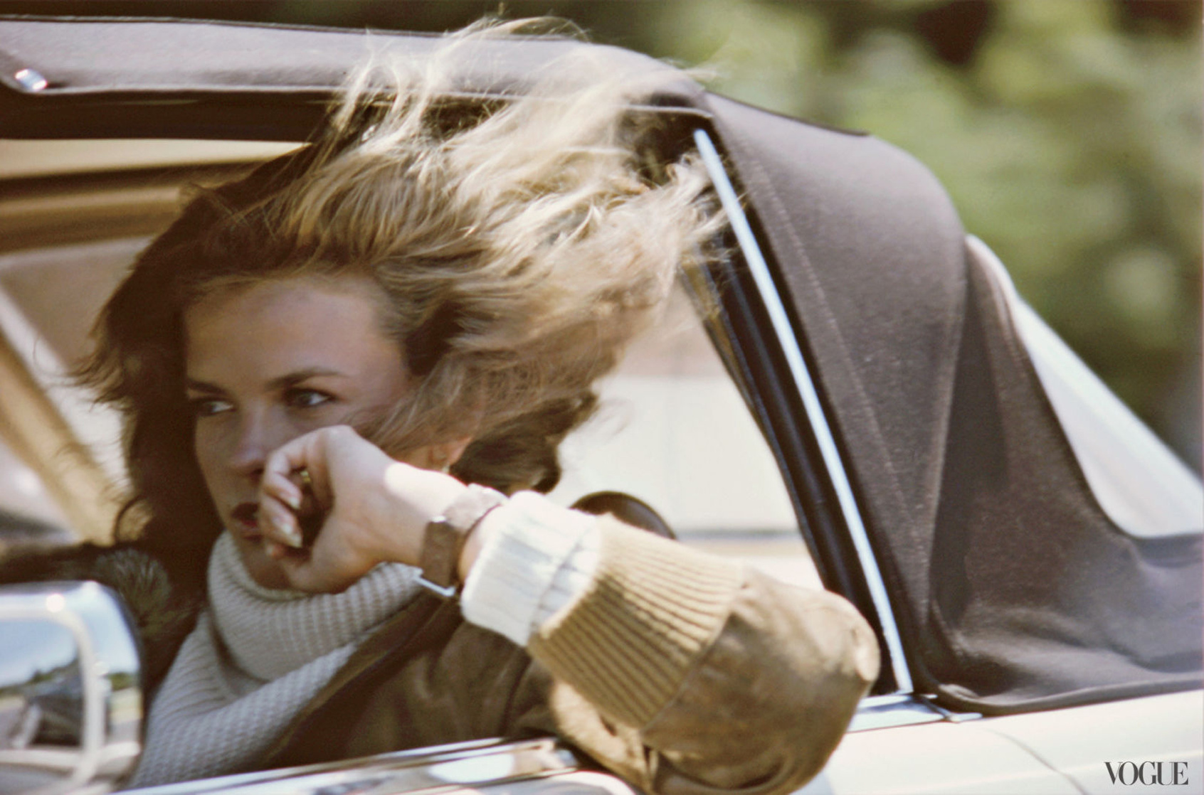 Picture of Lisa Taylor