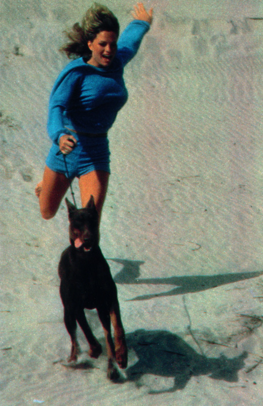 Picture of Gig Gangel