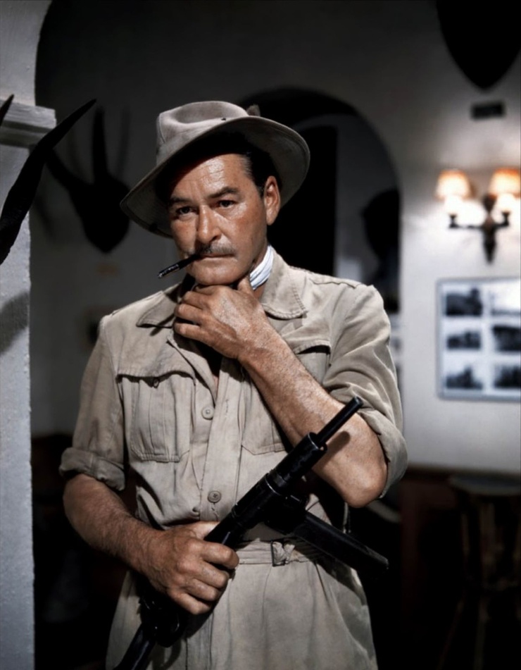 Picture of Errol Flynn