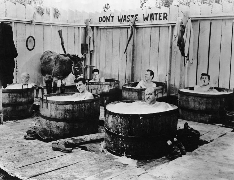 Picture of Forty Guns