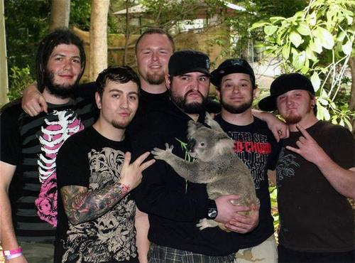 Picture of All Shall Perish