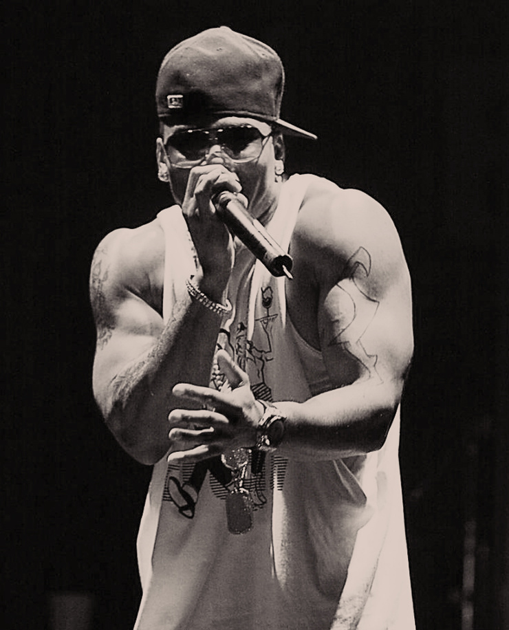 Picture of Nelly