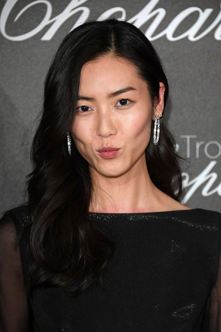 Picture of Liu Wen