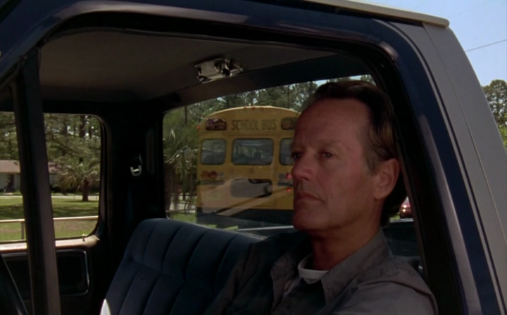 Ulee's Gold (1997) image