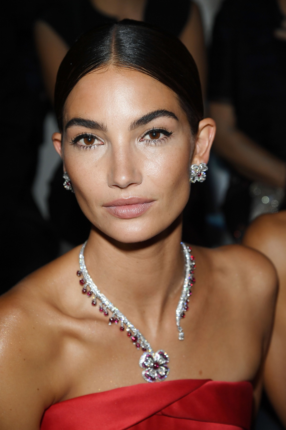 Picture of Lily Aldridge