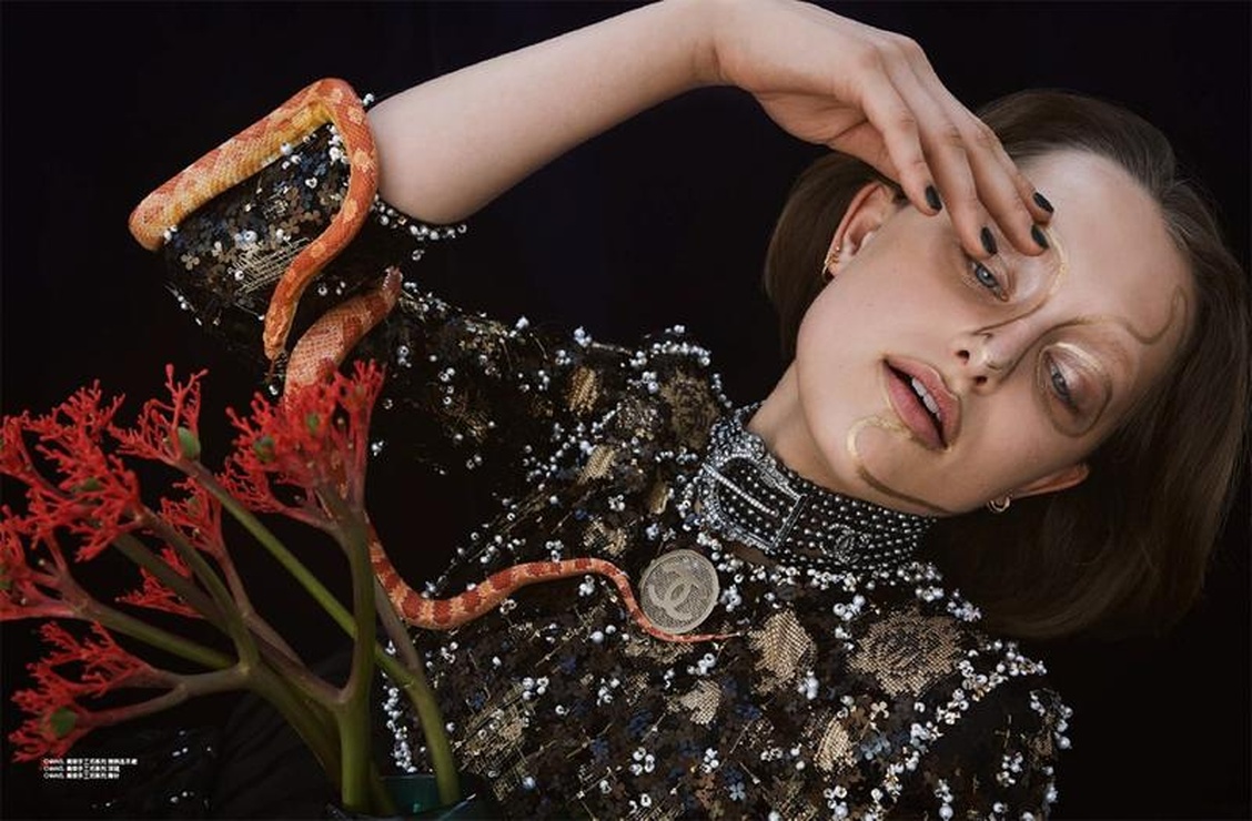 Picture of Jip Boxstart