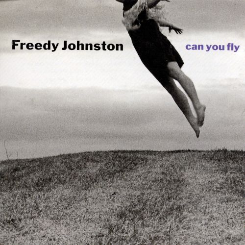 Picture of Can You Fly