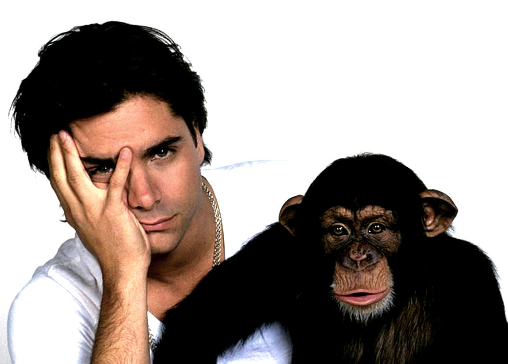 Picture of John Stamos