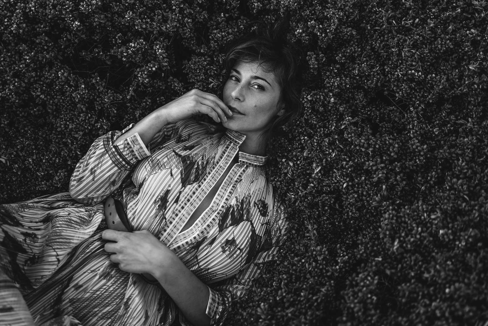 Image of Elysia Rotaru