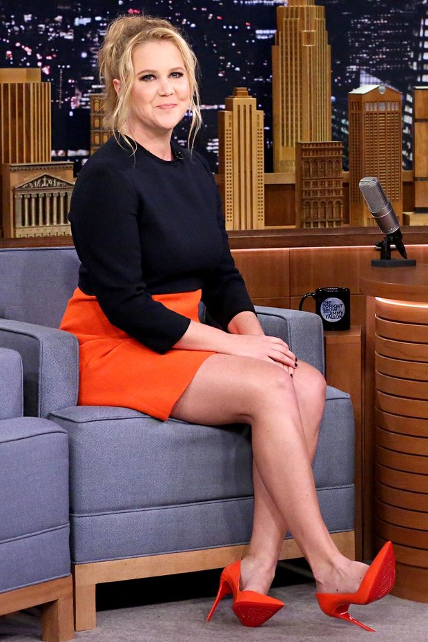 Amy Schumer image