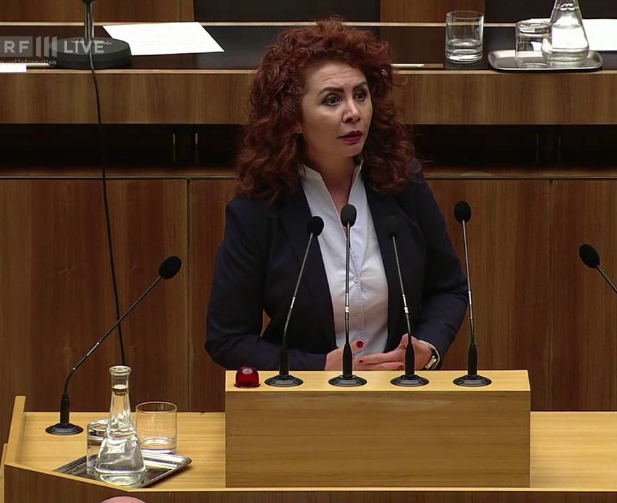 Picture of Aygül Berîvan Aslan