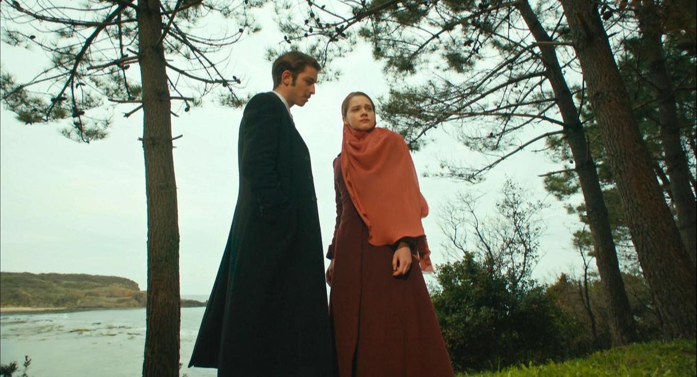 Image of Wounded Love