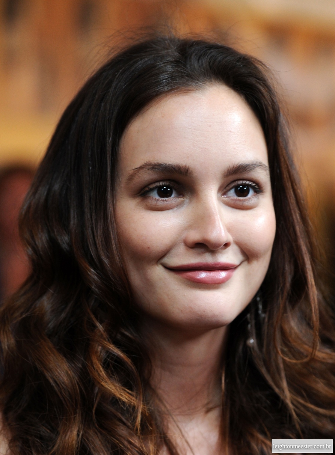 Leighton Meester image